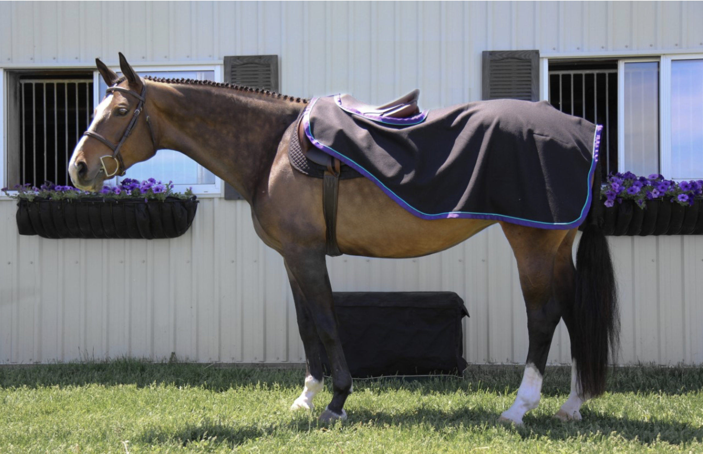 Horse Quarter Sheet Pattern