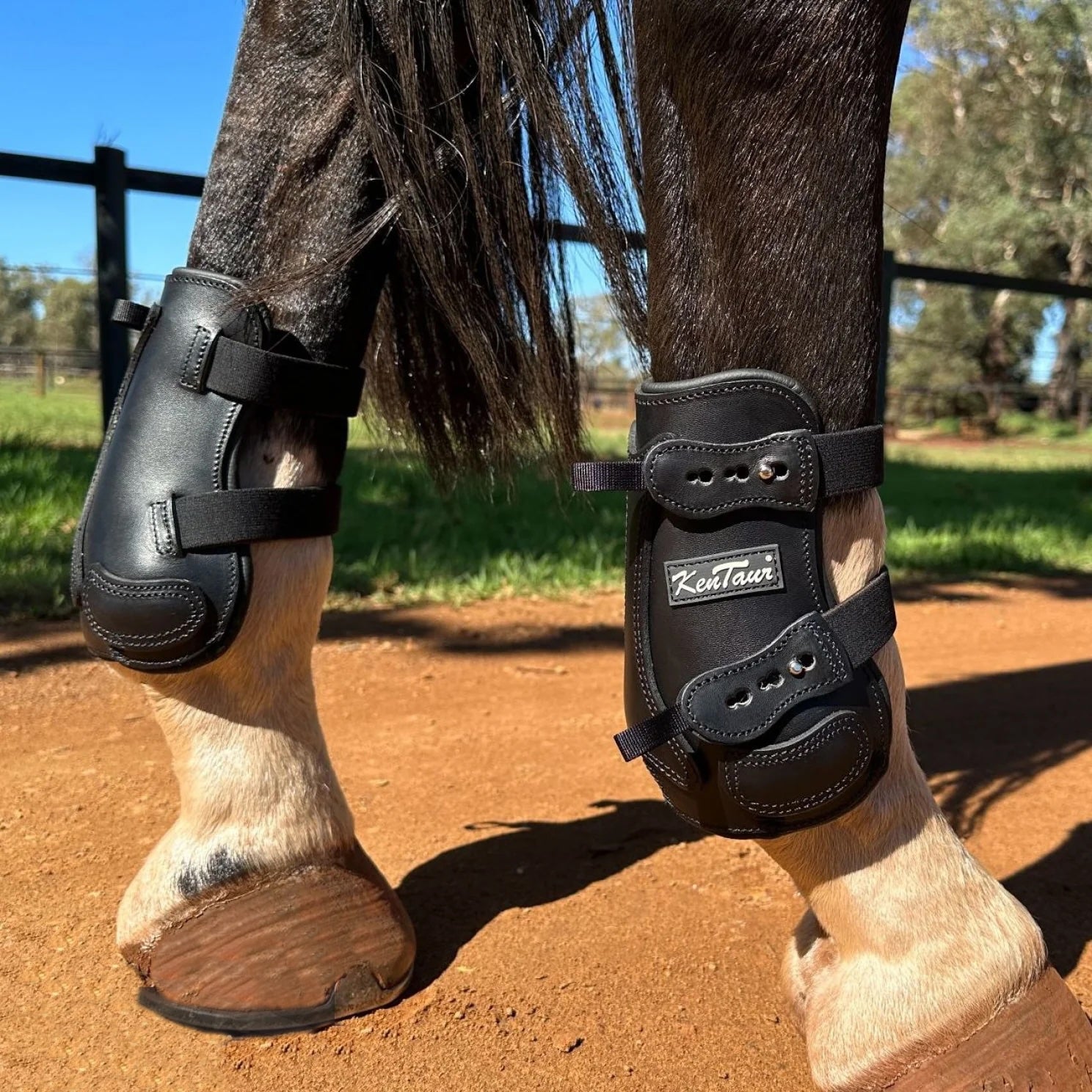 KENTAUR - Flicker 20cm Hind Boot – Exclusive Equine Tack & Apparel